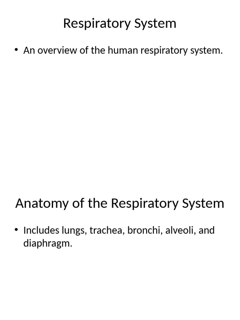 Respiratory System Presentation | PDF