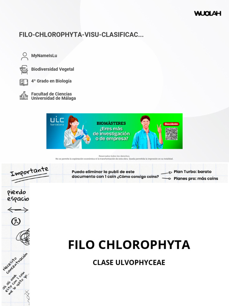 wuolah-free-FILO-CHLOROPHYTA-VISU-CLASIFICACION | PDF | Biología | Clasificación biológica