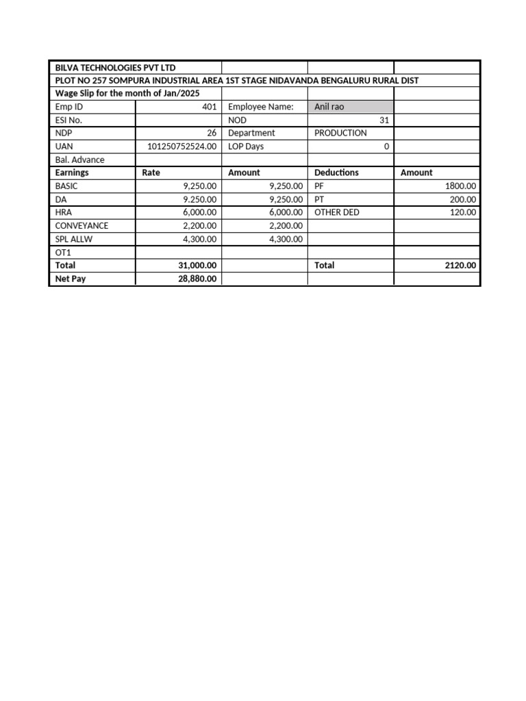 Pay Slip Dec2024 | PDF
