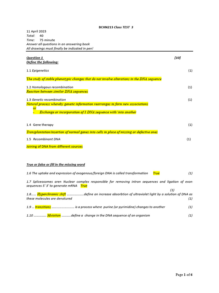 BCHN 213 Test 3 SU 5nd 6 Memo MC | PDF | Ribosome | Translation (Biology)