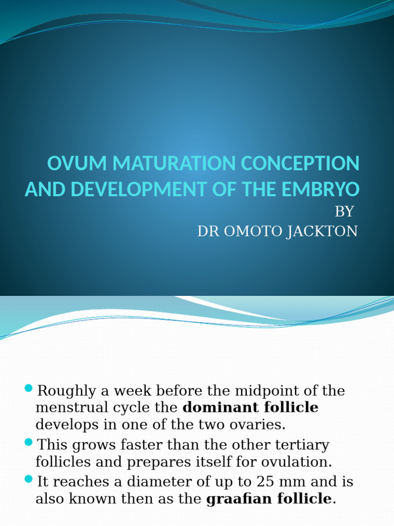 Ovum Maturation Conception and Development of The Embryo | PDF | Fetus ...