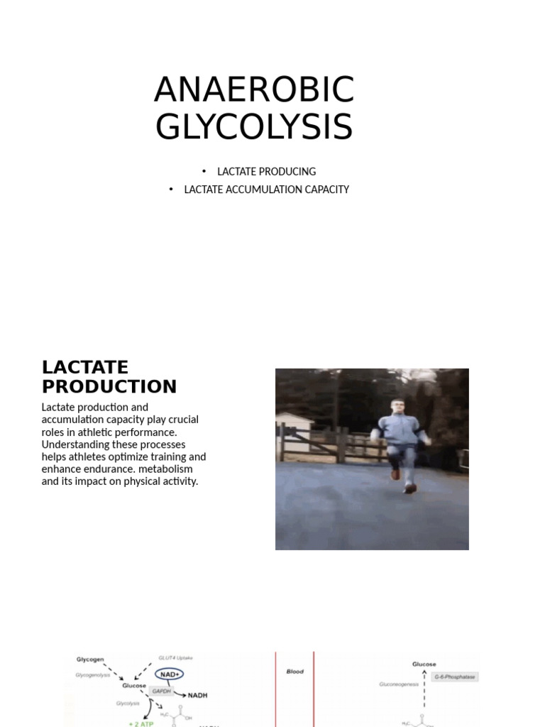 Anaerobic Glycolysis Sporting Examples – DDSOZ