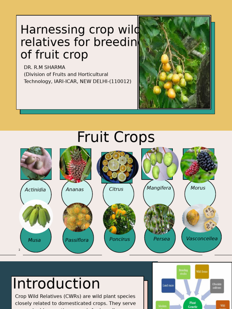 Harnessing Crop Wild Relatives For Breeding of Fruit | PDF | Citrus | Plant Breeding