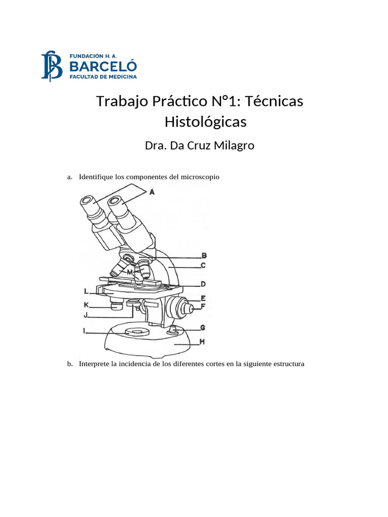 Trabajo Practico N1 Pdf