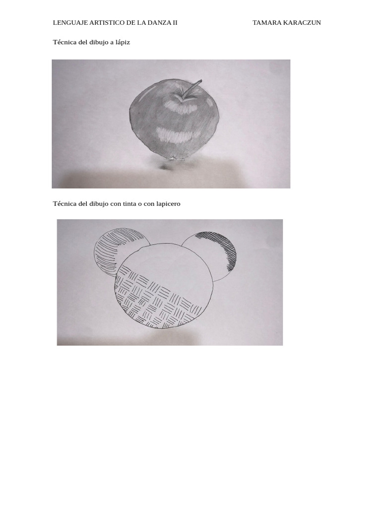 Karaczun Tamara Tecnicas de Dibujo | PDF