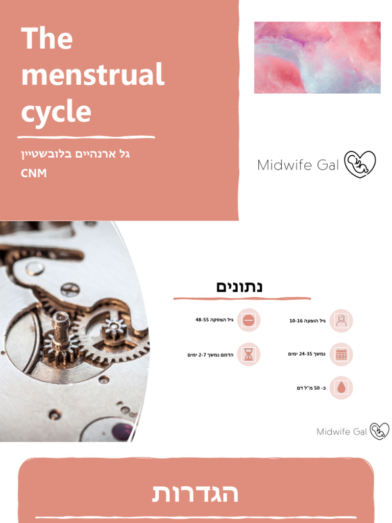 The Menstrual Cycle | PDF