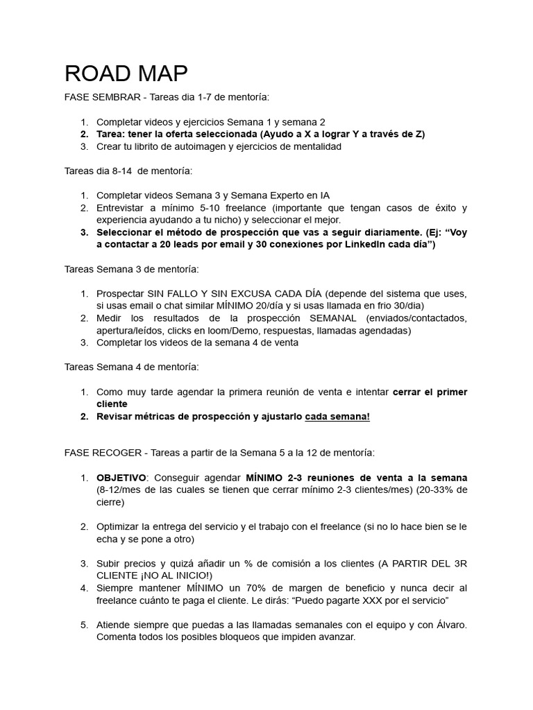 Plan de Acción para Mentoría Road Map | PDF