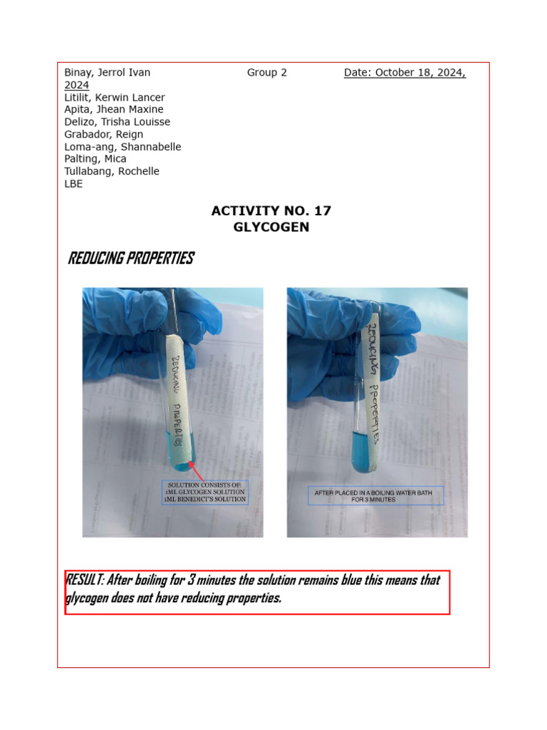 Biochem Documentation Activity 17 | PDF