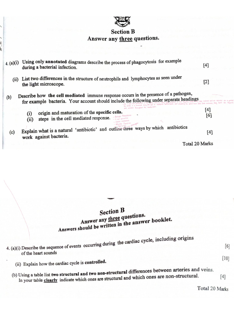 Biol 0200 Tutorial 3 | PDF