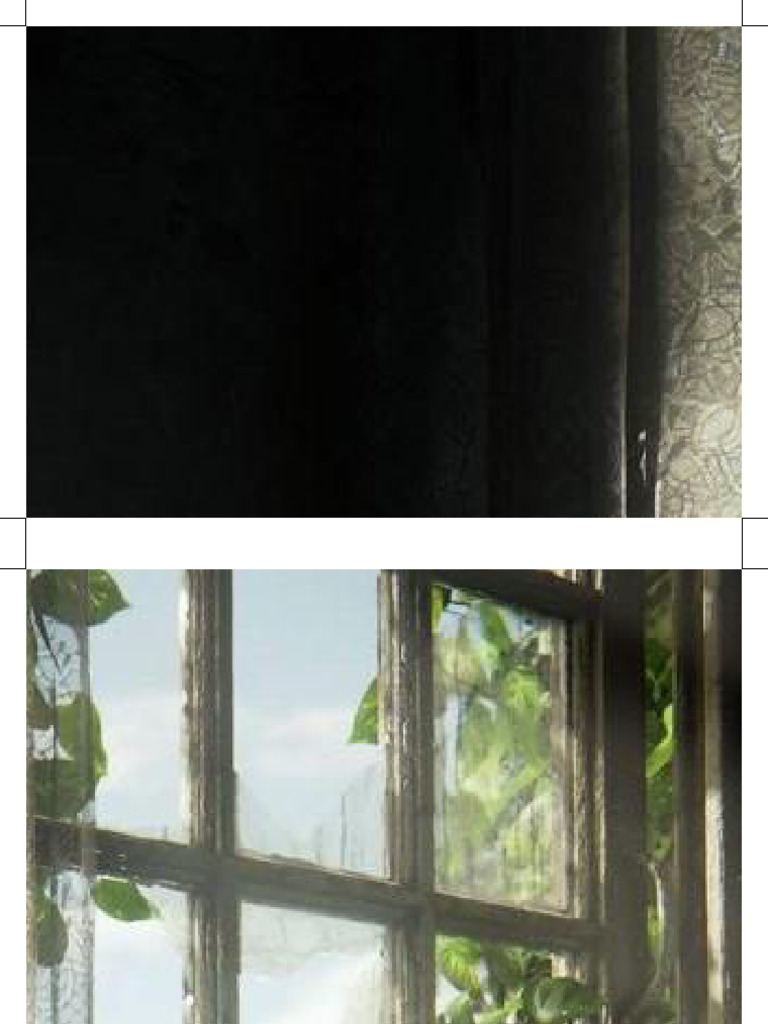 Enlarged Window | PDF