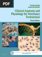 Animal Trauma Triage Score | PDF | Pulse | Physiology