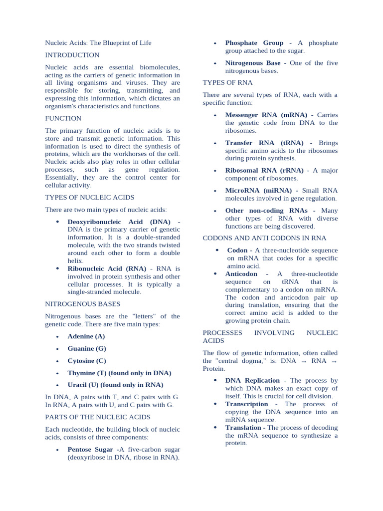 Nucleic Acids | PDF | Rna | Nucleic Acids