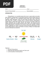Bronchoscopy CPT Codes & Fees 2024 | PDF | Medical Equipment | Medical ...