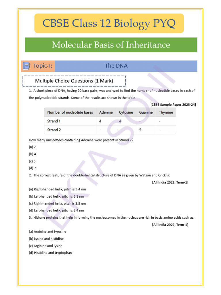 Molecular Basis of Inheritance PYQ CBSE 12 | PDF | Operon | Genetic Code