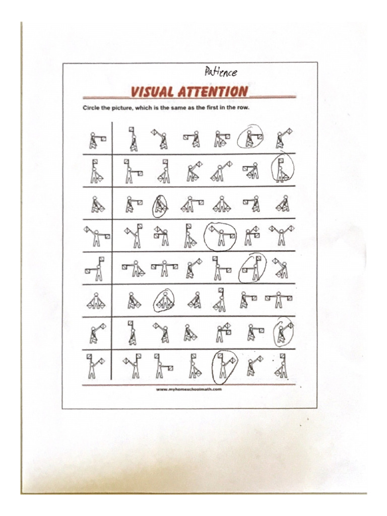 Visual Attention | PDF