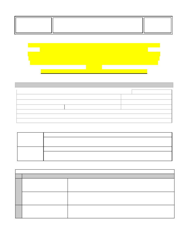 FORMATO IRL (Ex ODI) | PDF