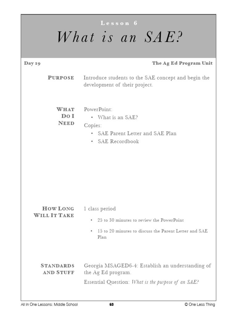 What is an SAE | PDF