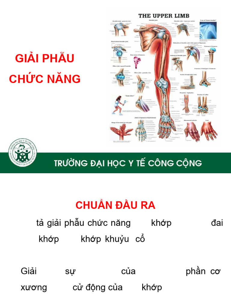 Bài 2 GPCN Chi Trên | PDF