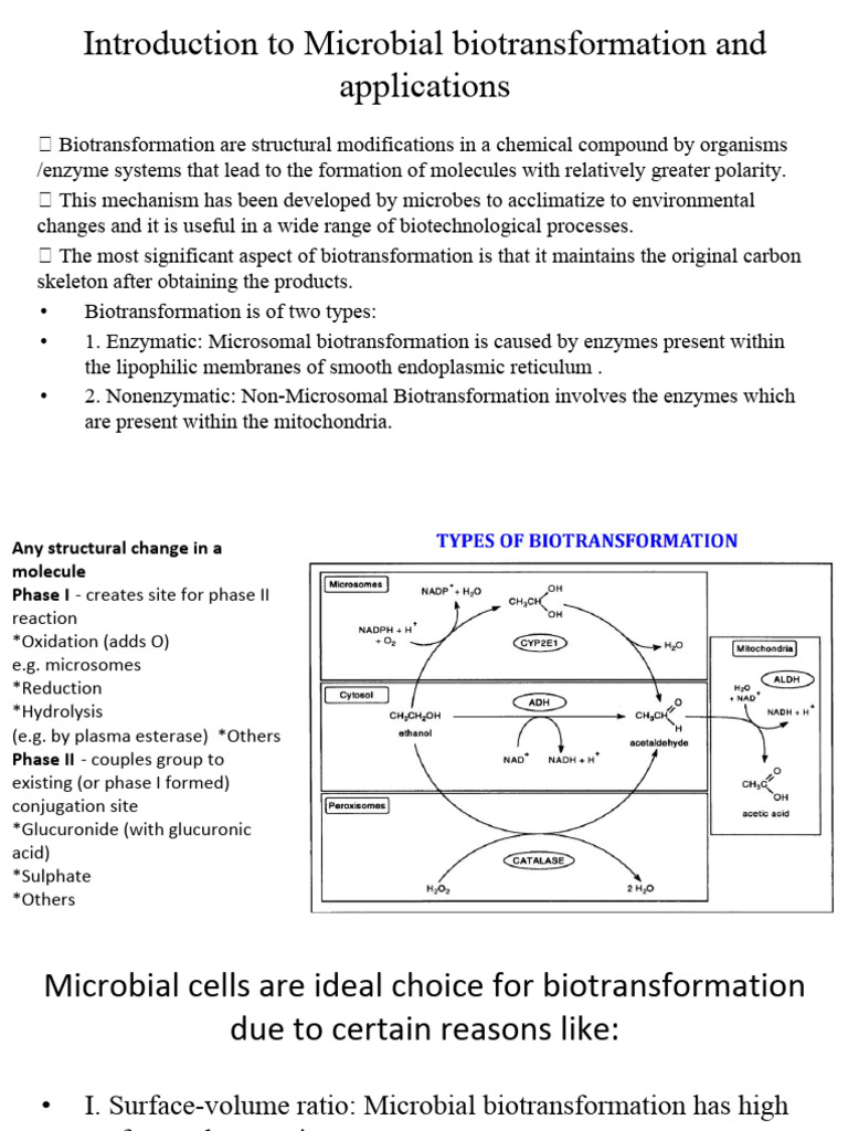 Intro to Microbial Biotransformation | PDF