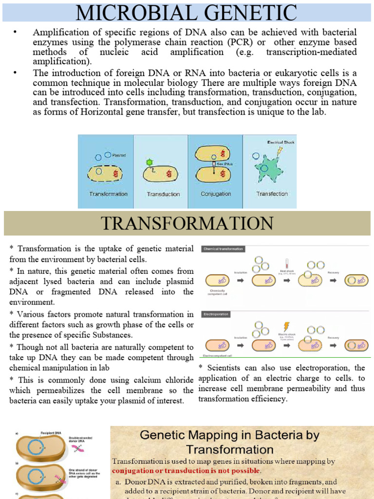 Microbial Genetics Including Transformation, Transduction, Conjugation, Plasmidsand | PDF ...