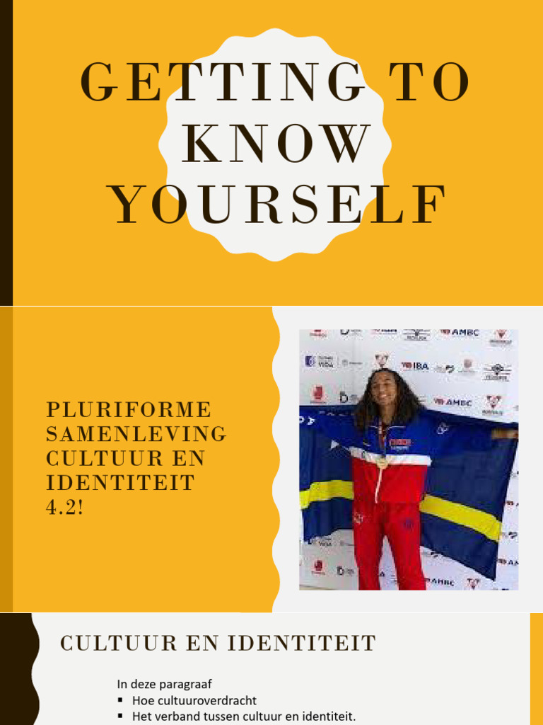 Par 4.2 VWO Pluriforme Samenleving | PDF