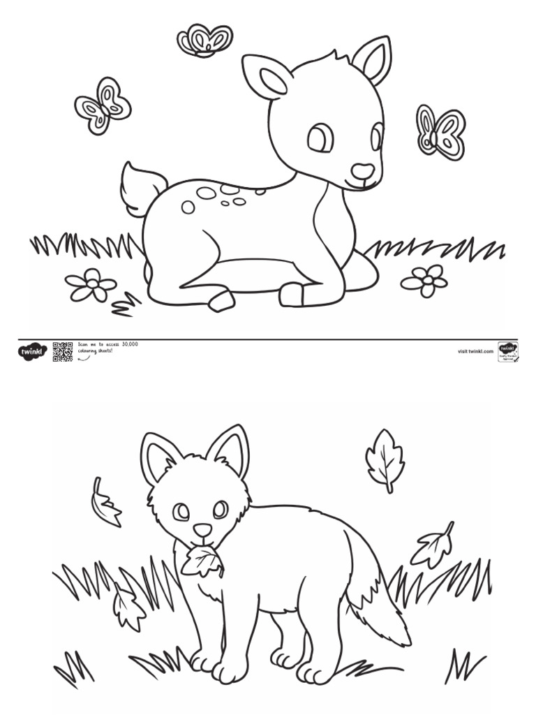 T-Tp-2549750-Spring-Baby-Animals-Colouring-Pack - Ver - 3 2025-04-01 13 ...
