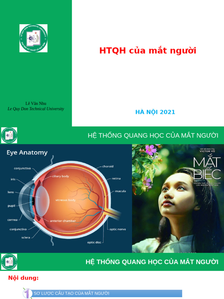 Anh Nhu | PDF