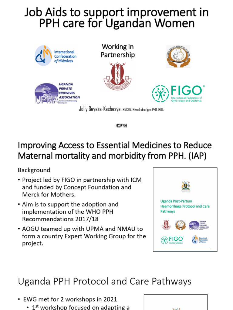 PPH Dissemination_MOH Workshop - 15Feb23 (2) (1) | PDF