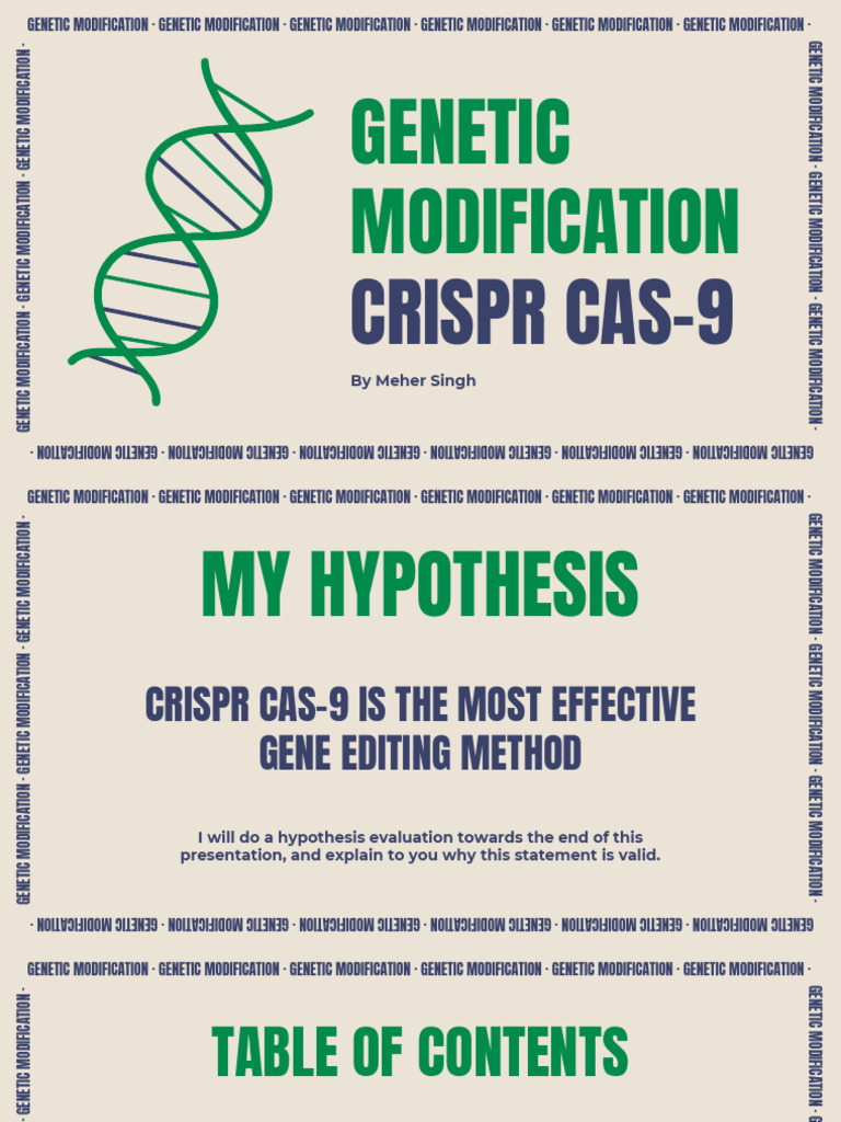Genetic Modification | PDF | Genetics | Genetic Engineering