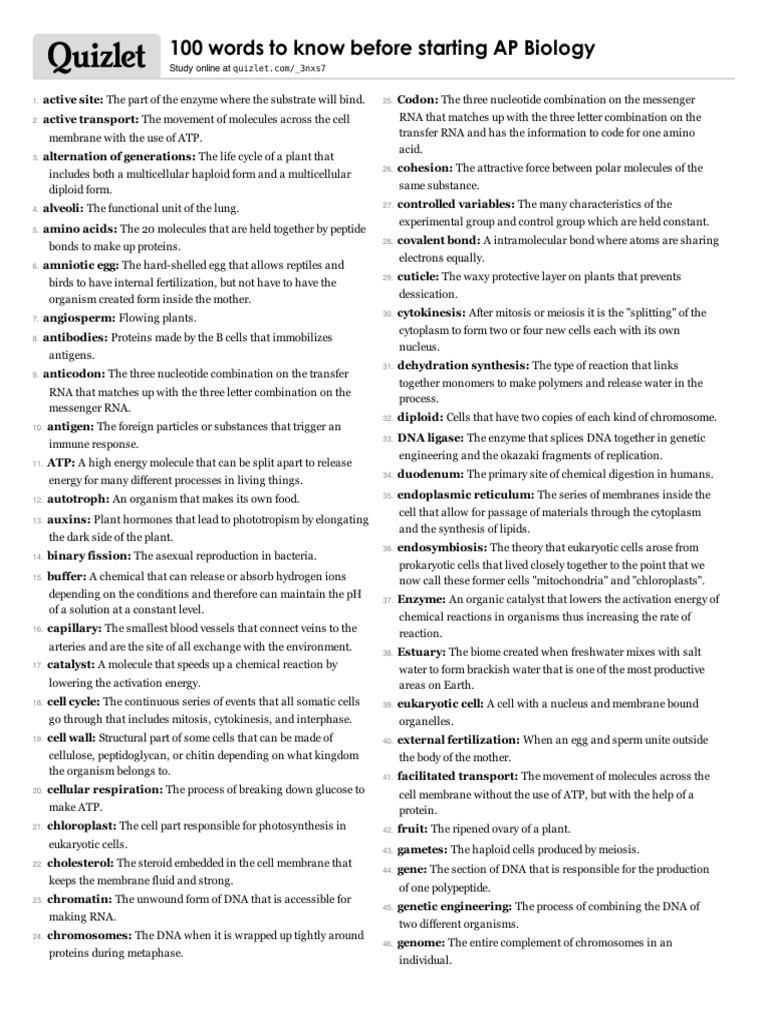 100 Words To Know Before Start | PDF