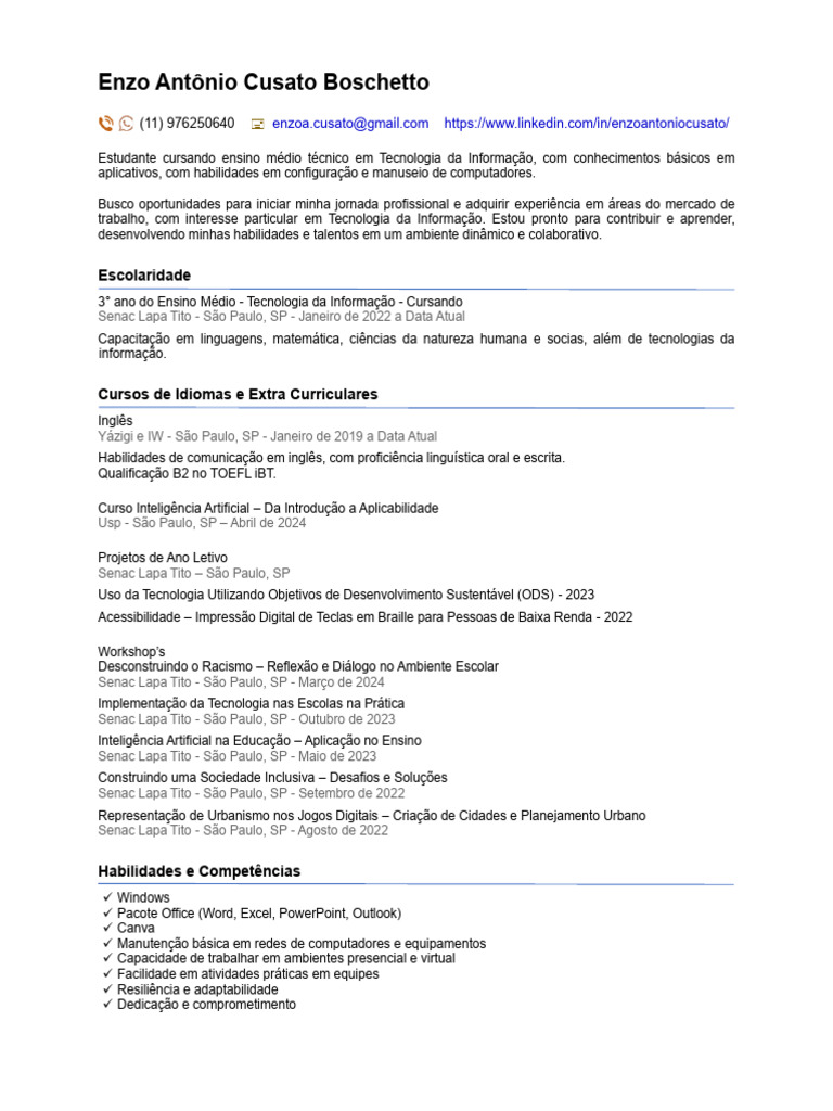CV_Enzo_Antonio_042024-2-2 | PDF