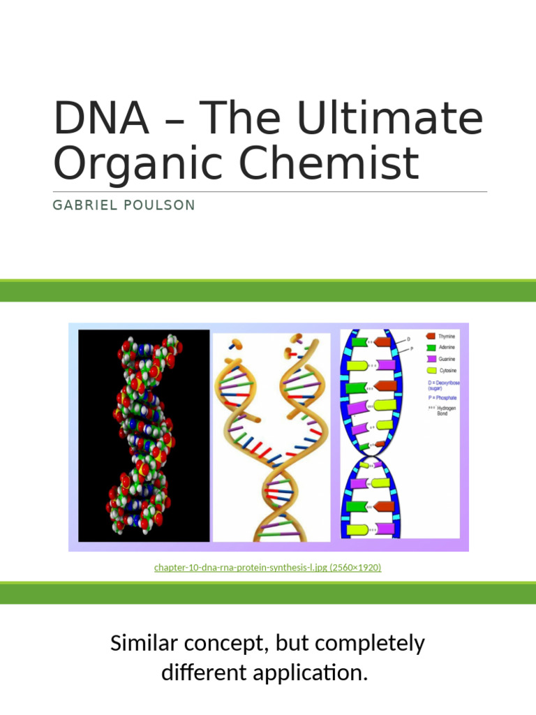 DNA Templated Synthesis | PDF | Organic Synthesis | Chemical Reactions