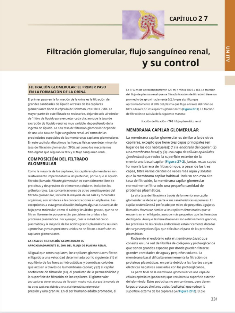 Capítulo 27. Fisiología | PDF