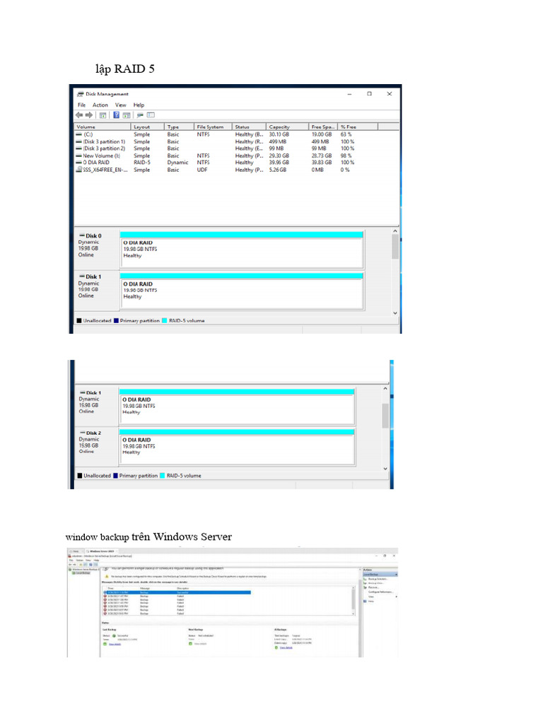 TH C Hành RAID Và Windows Back Up Trên Windows Server | PDF