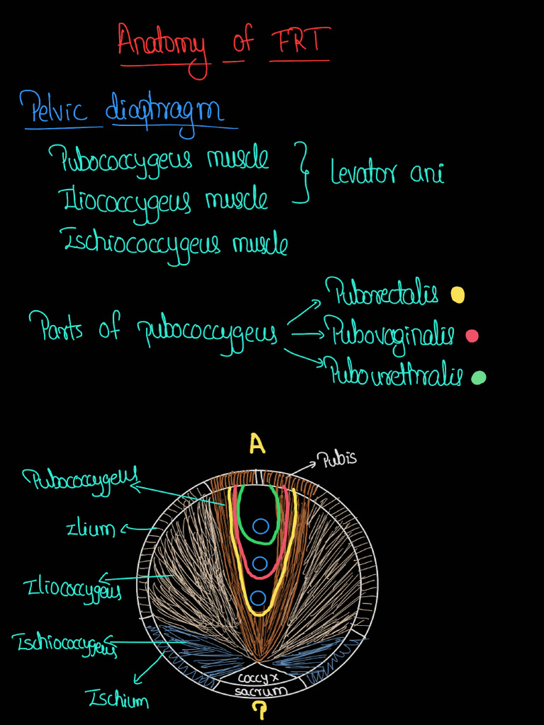 Obg Ia 1 - 230904 - 192119 | PDF