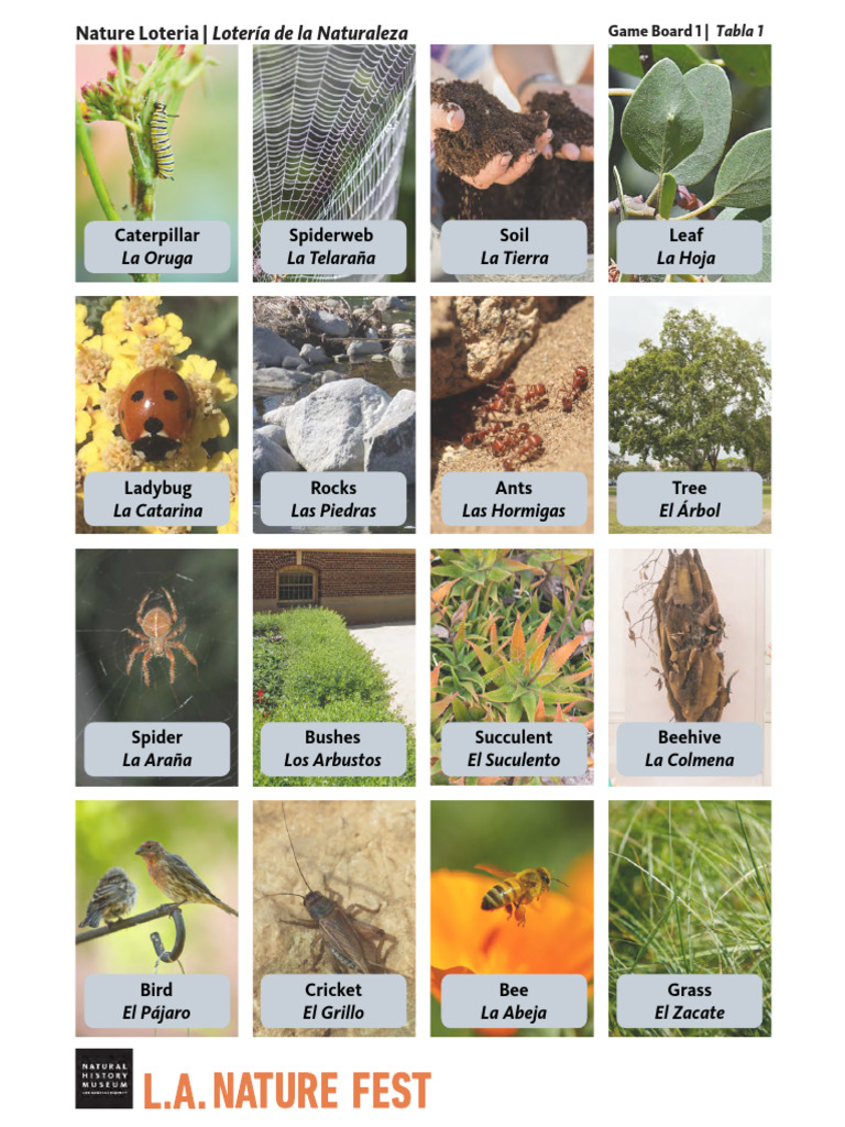 Lotería de la Naturaleza: Juego Educativo | PDF