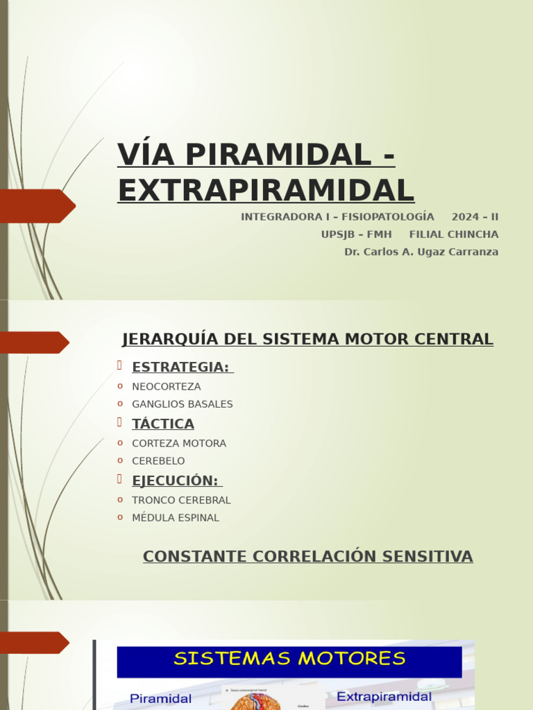Clase Via Piramidal, Extrapiramidal | PDF | Cerebro | Neurona motora