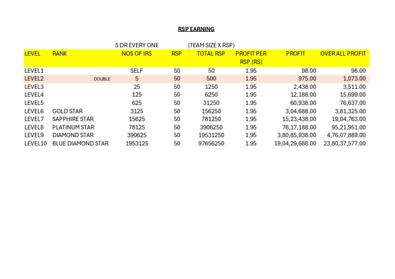 RSP Earnings and Income Levels Guide | PDF