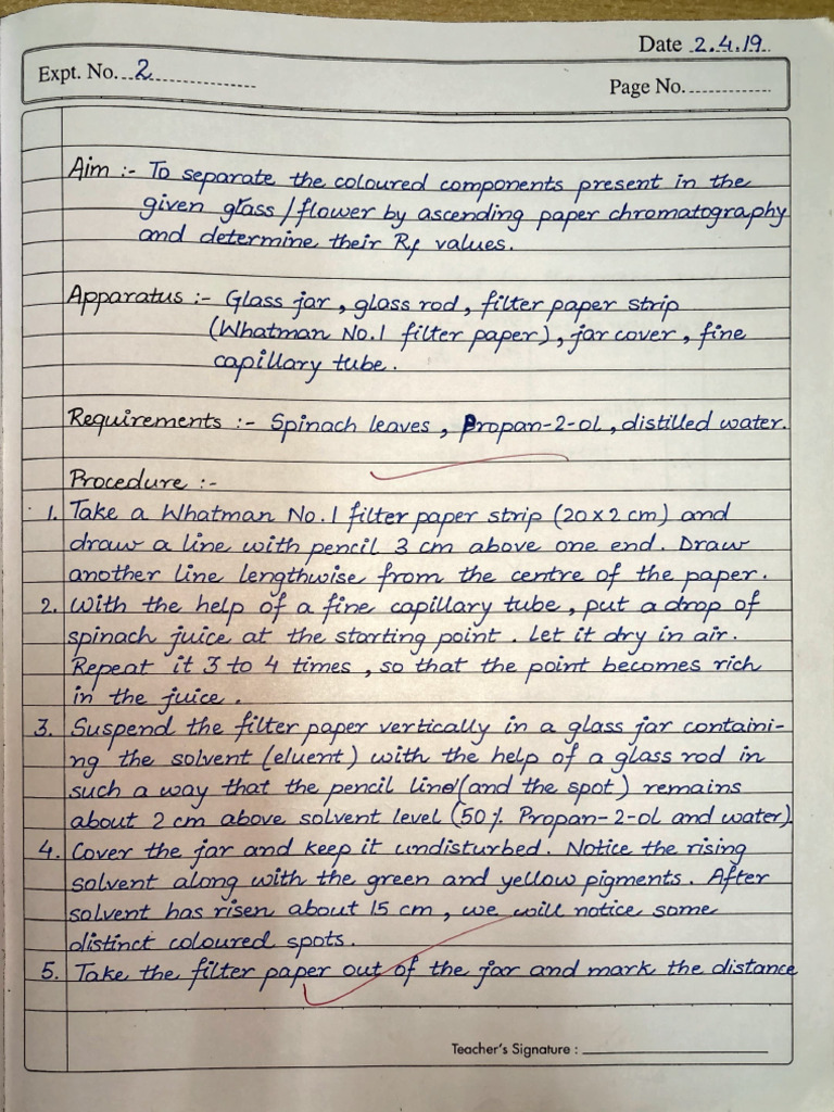 Science Experiment Documentation Template | PDF