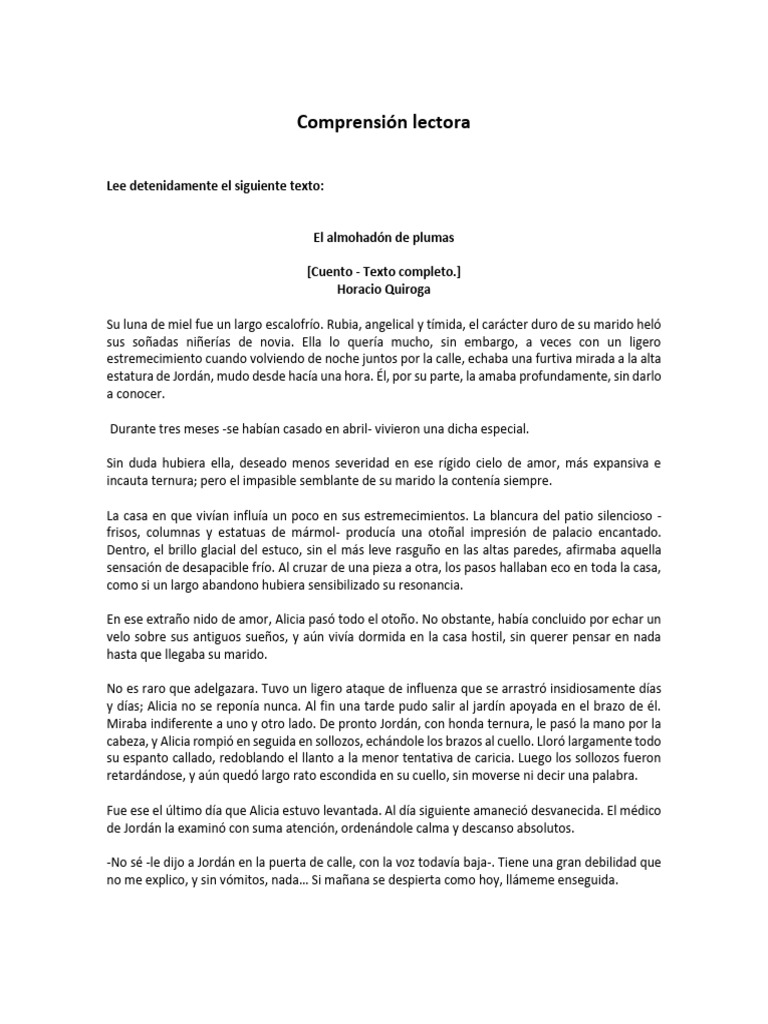 El Almohadon de Pluma | PDF