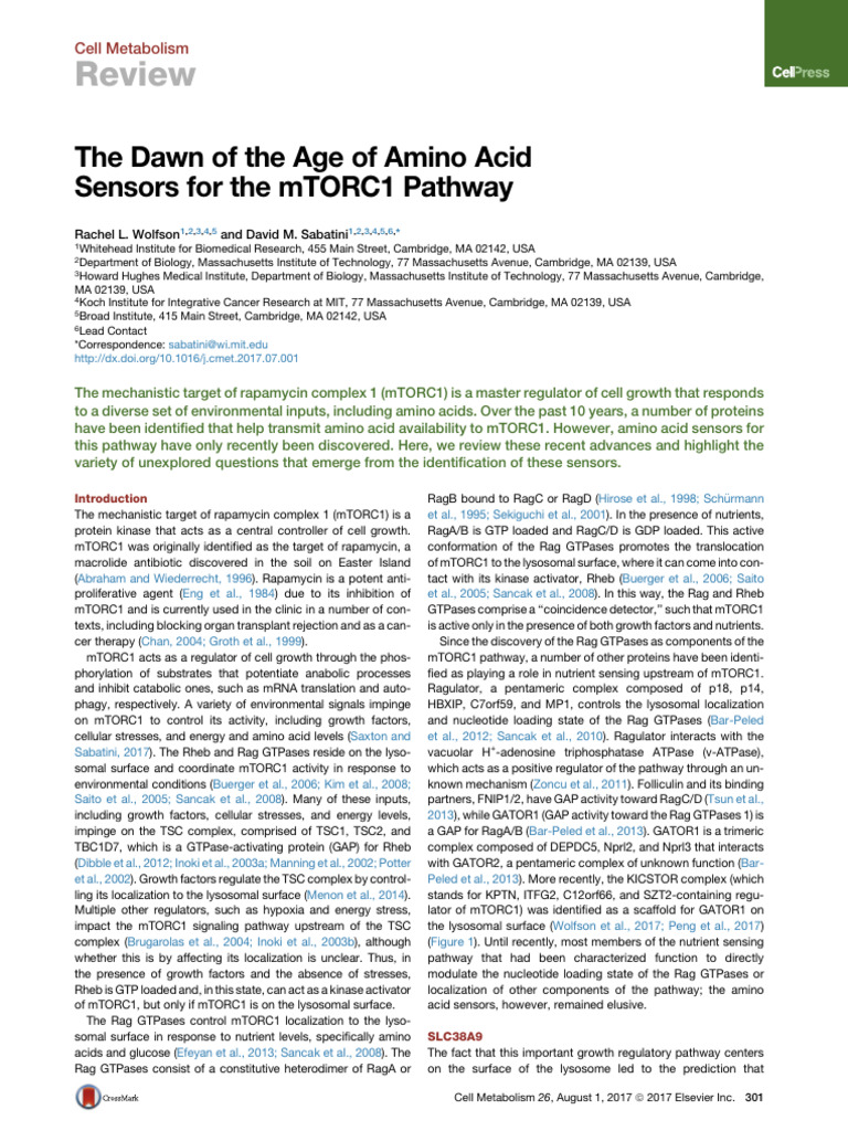mTORC1 Pathway and Amino Acid Sensors | PDF | Enzyme Inhibitor | Proteins