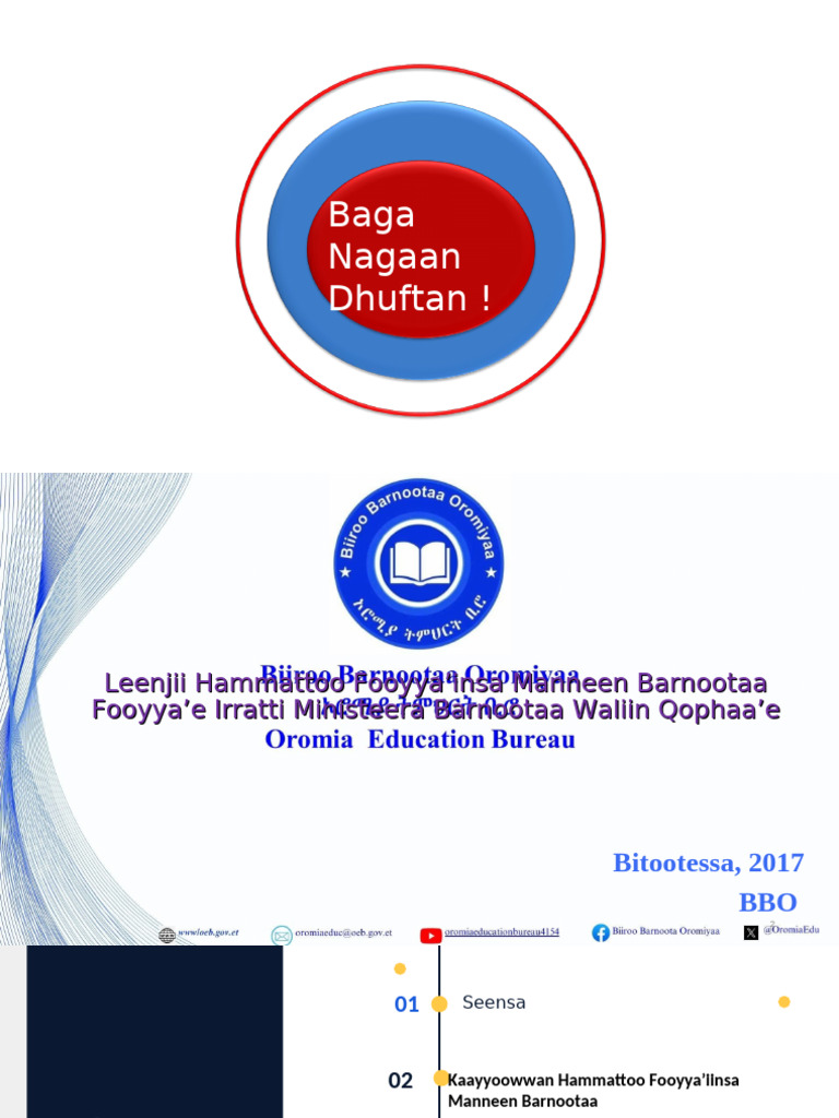 Leenjii FMB Ok | PDF