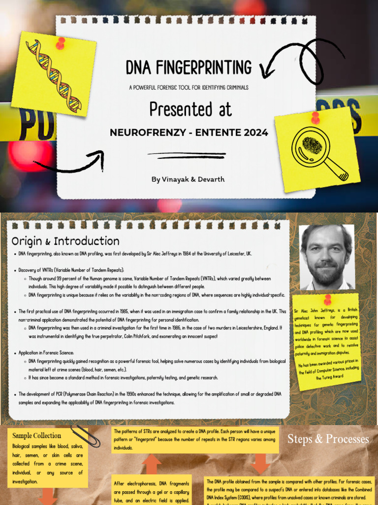 Presentation On DNA Fingerprinting | PDF | Agarose Gel Electrophoresis ...