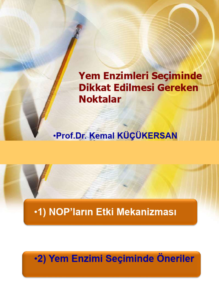 Yem Enzim Secimi MKK - 094953 | PDF