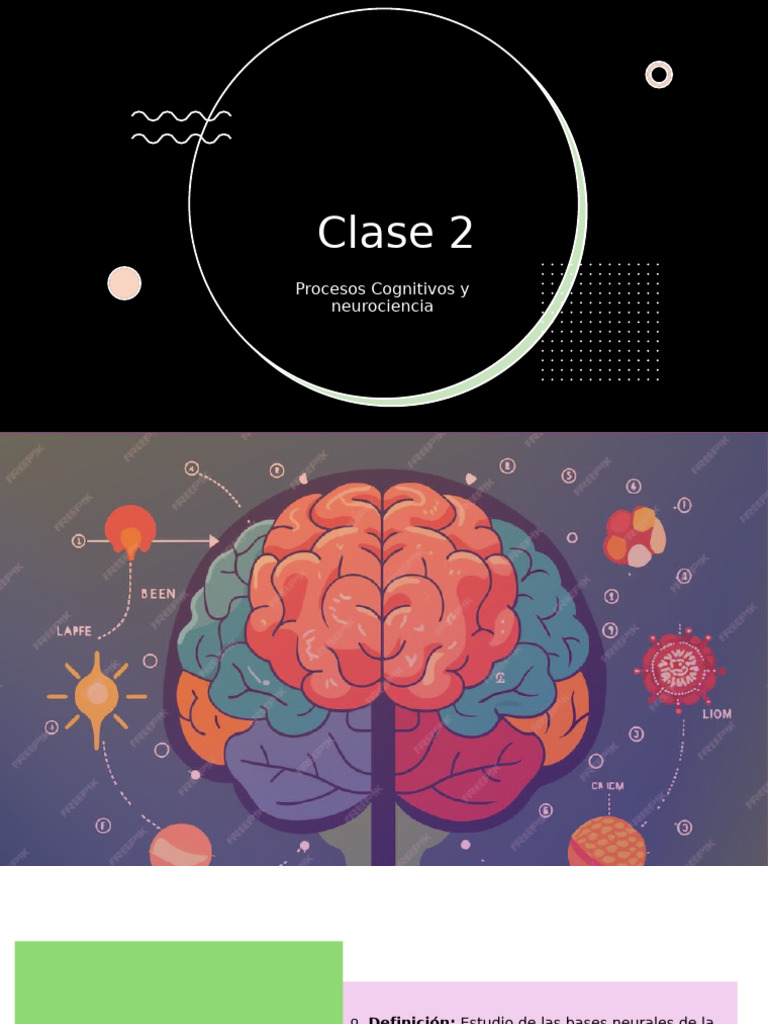 Clase 2 Procesos Cognitivos Neurociencia y Procesos Cognitivos | PDF | Neuroplasticidad | Memoria