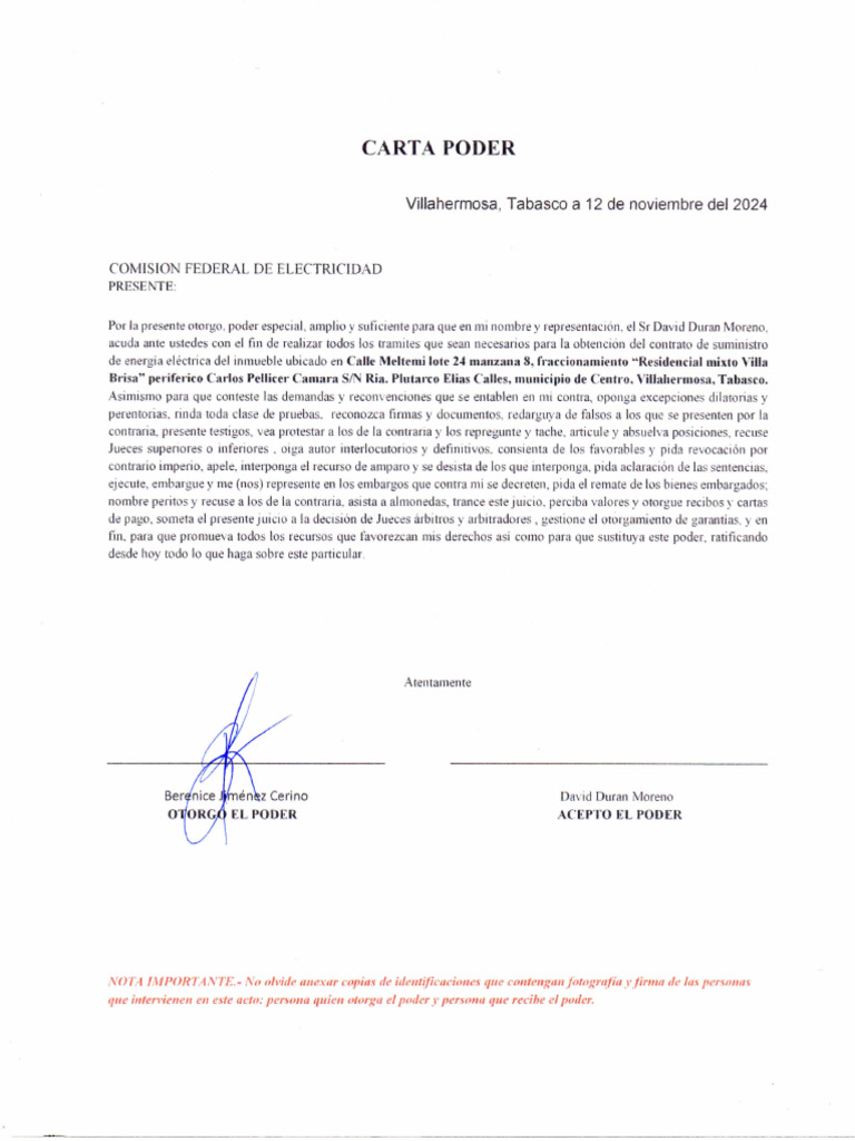 Carta poder CFE-1 | PDF