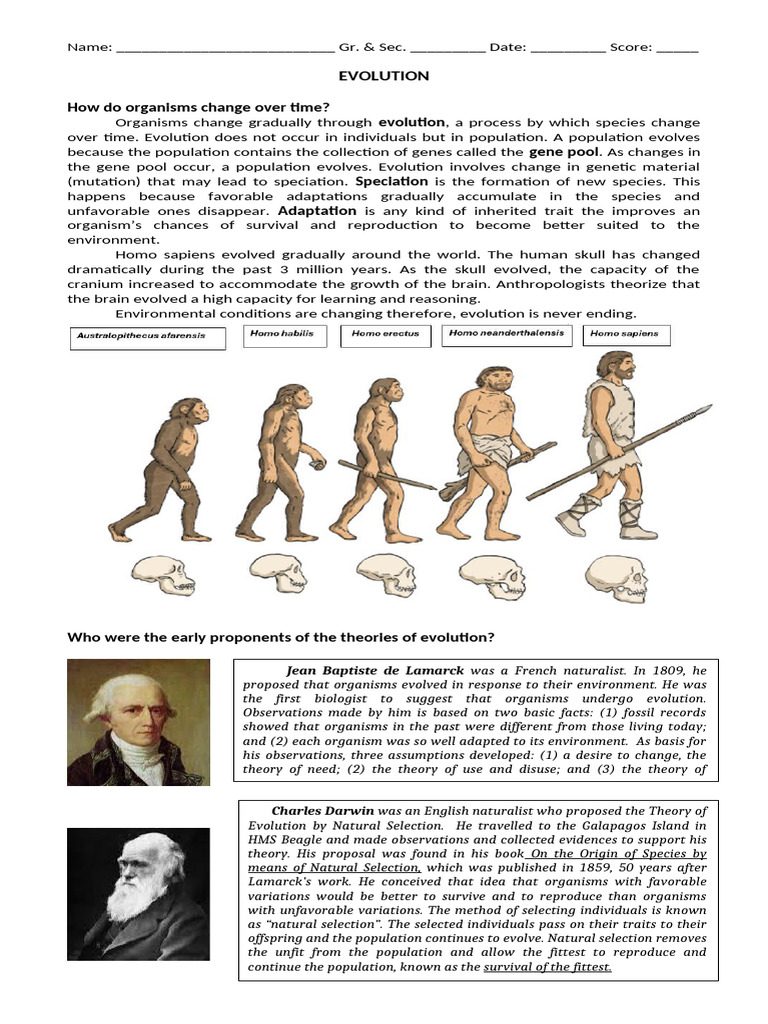 Evolution_Learning-Material_final-copy | PDF | Evolution | Fossil