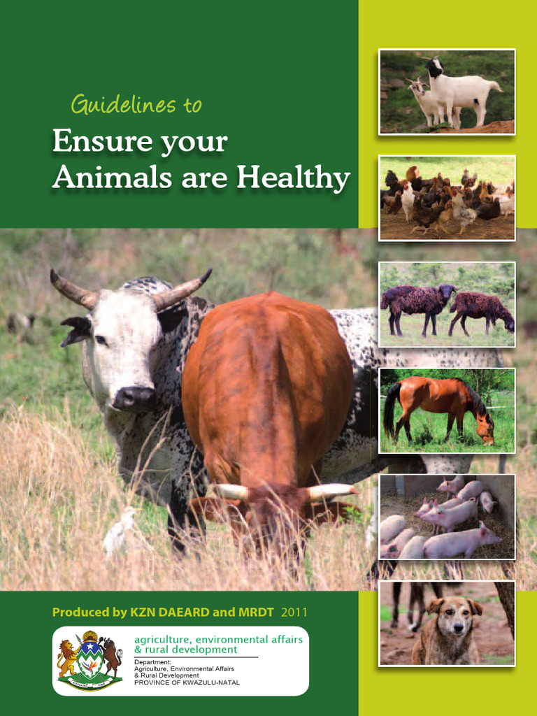 Basic Animal Health 2011 English Web | PDF | Pathogen | Parasitism