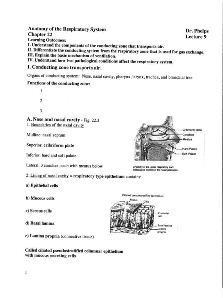 Lecture 9 Student Notes | PDF