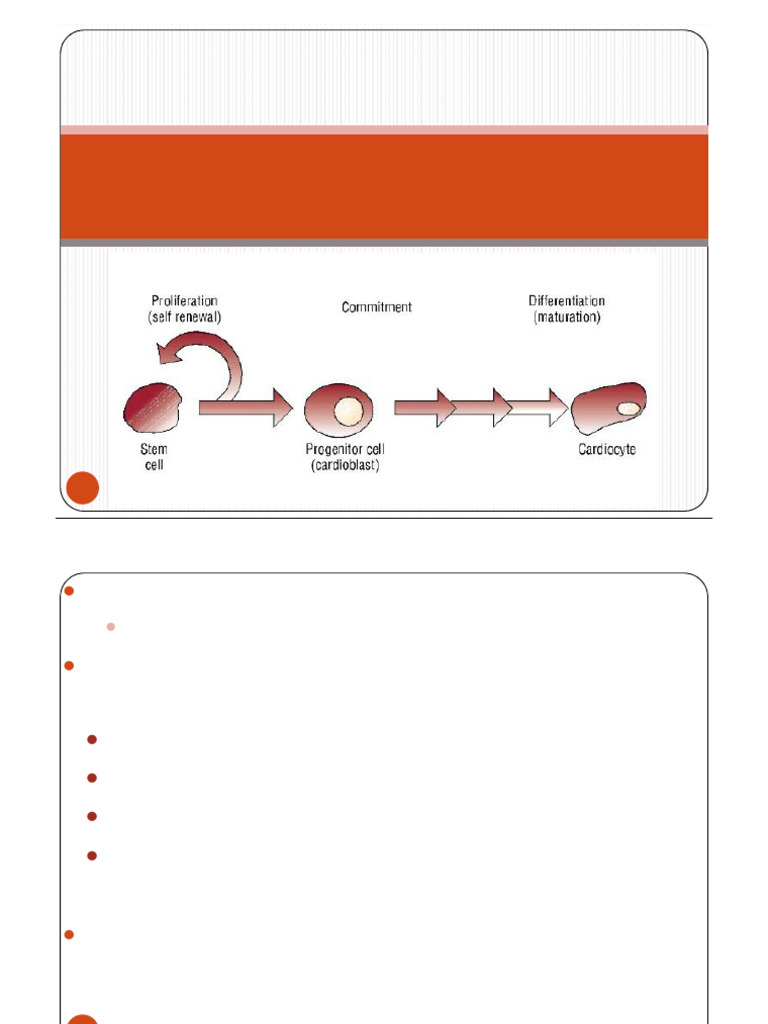 Cell Commitment and Specification Overview | PDF | Cellular ...